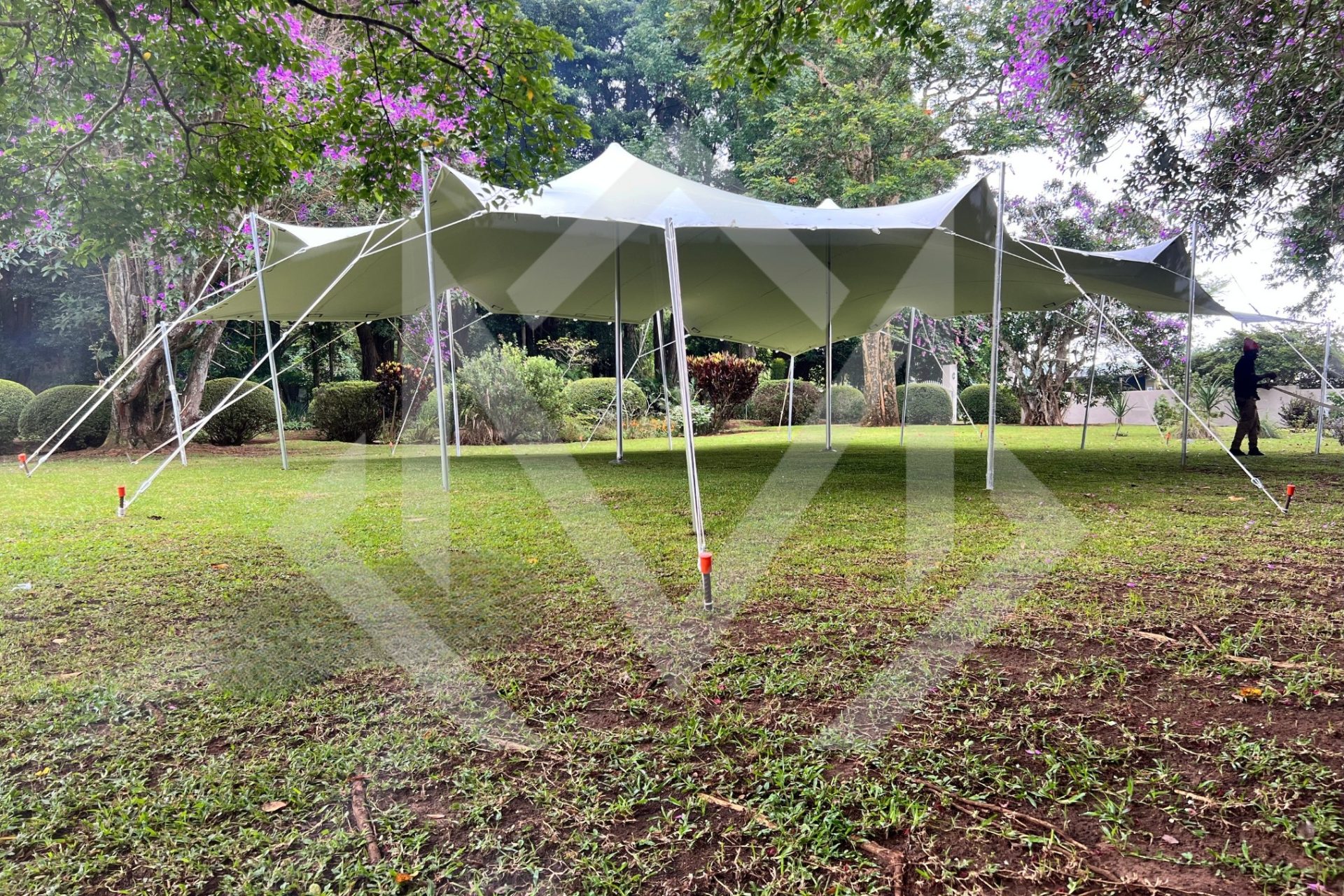 Premier Stretch Tent Rentals & Hire Service